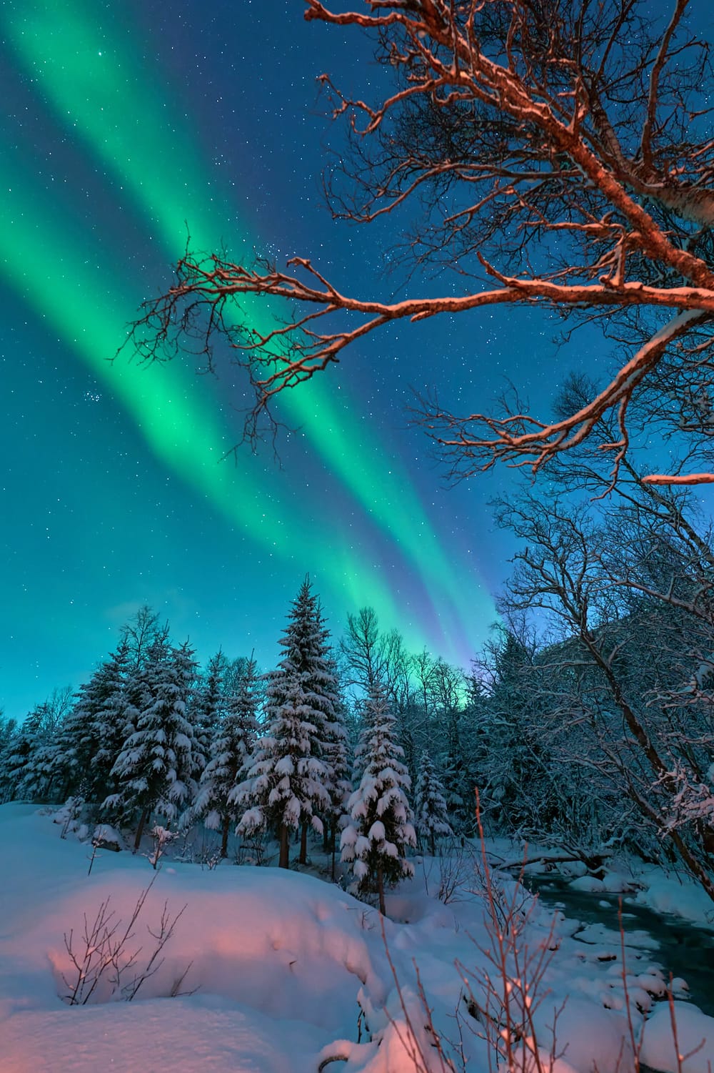 Aurora FAQ